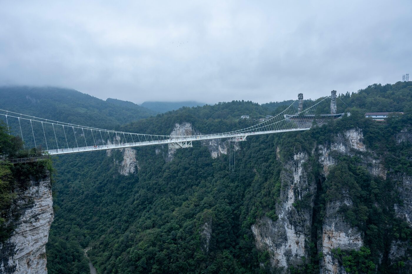 Zhangjiajie Glass Bridge 2026: Grand Canyon Guide